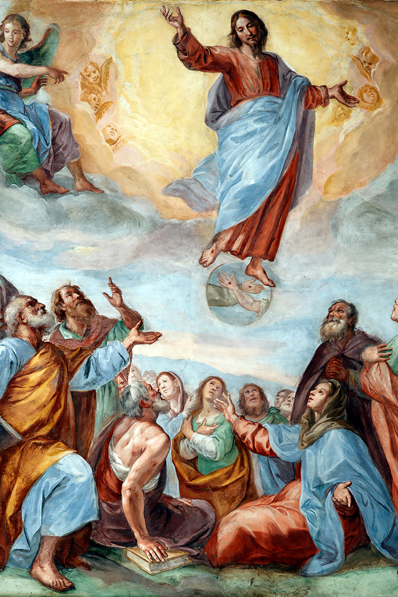 The Ascension of the Lord – Saint Thomas More Parish